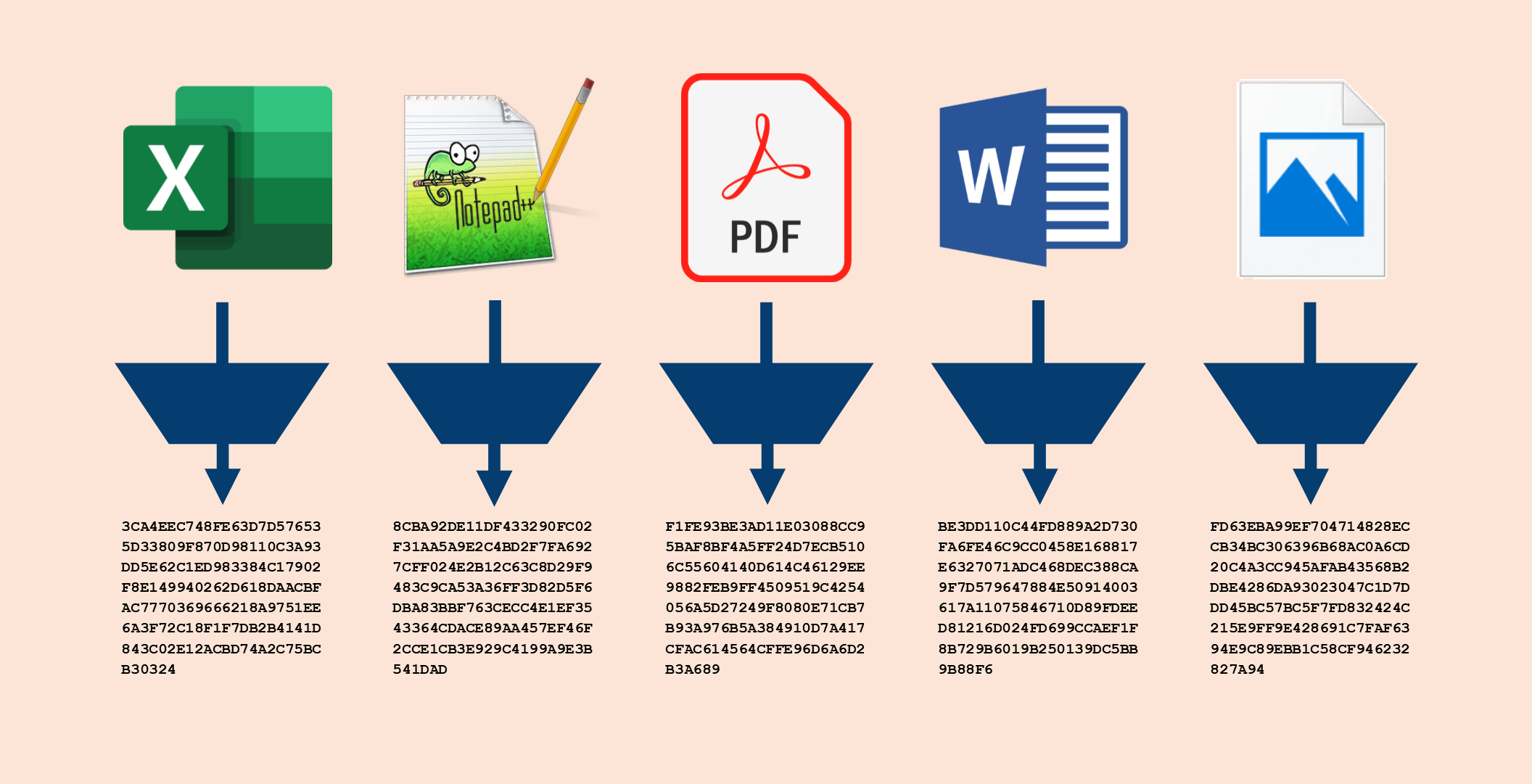 How To Hash Files In Python